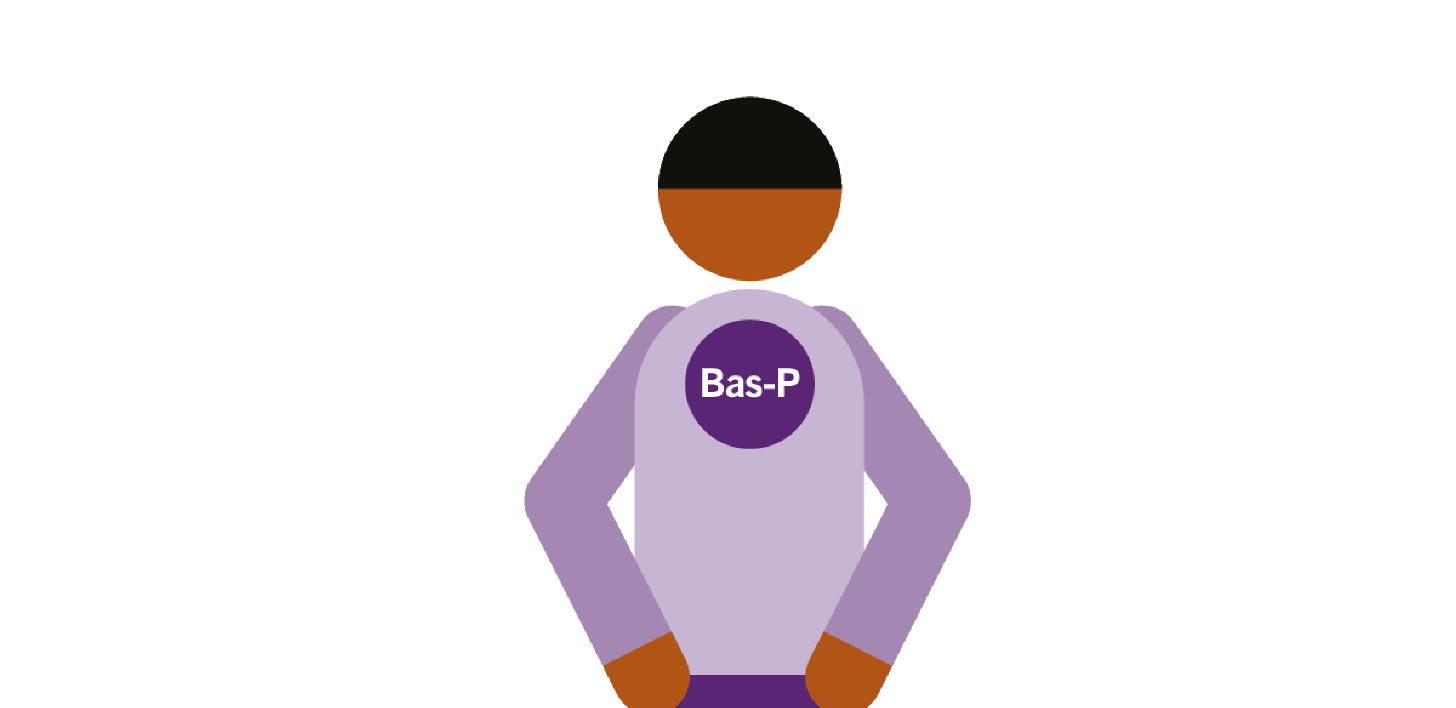 Bas-P - Arbetsmiljöverket